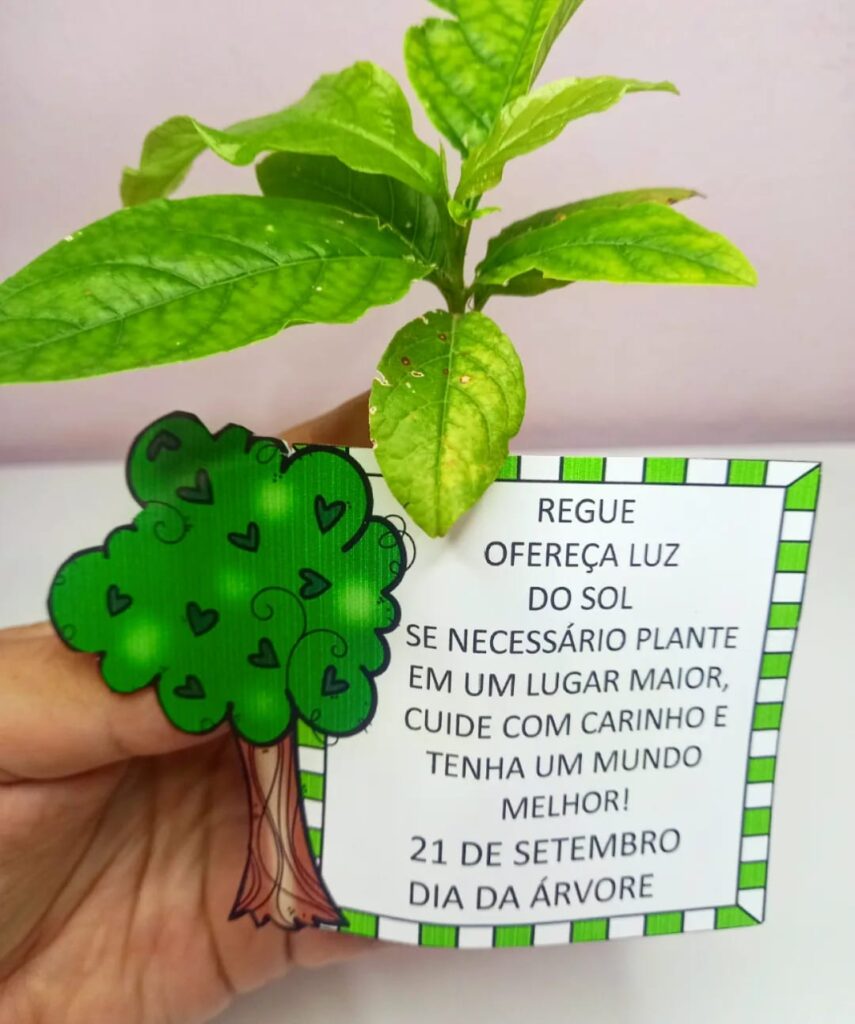 Kit dia da árvore – Professora Nayarah