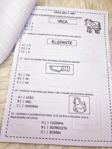 Simulado 2º ano SAEB – Professora Nayarah